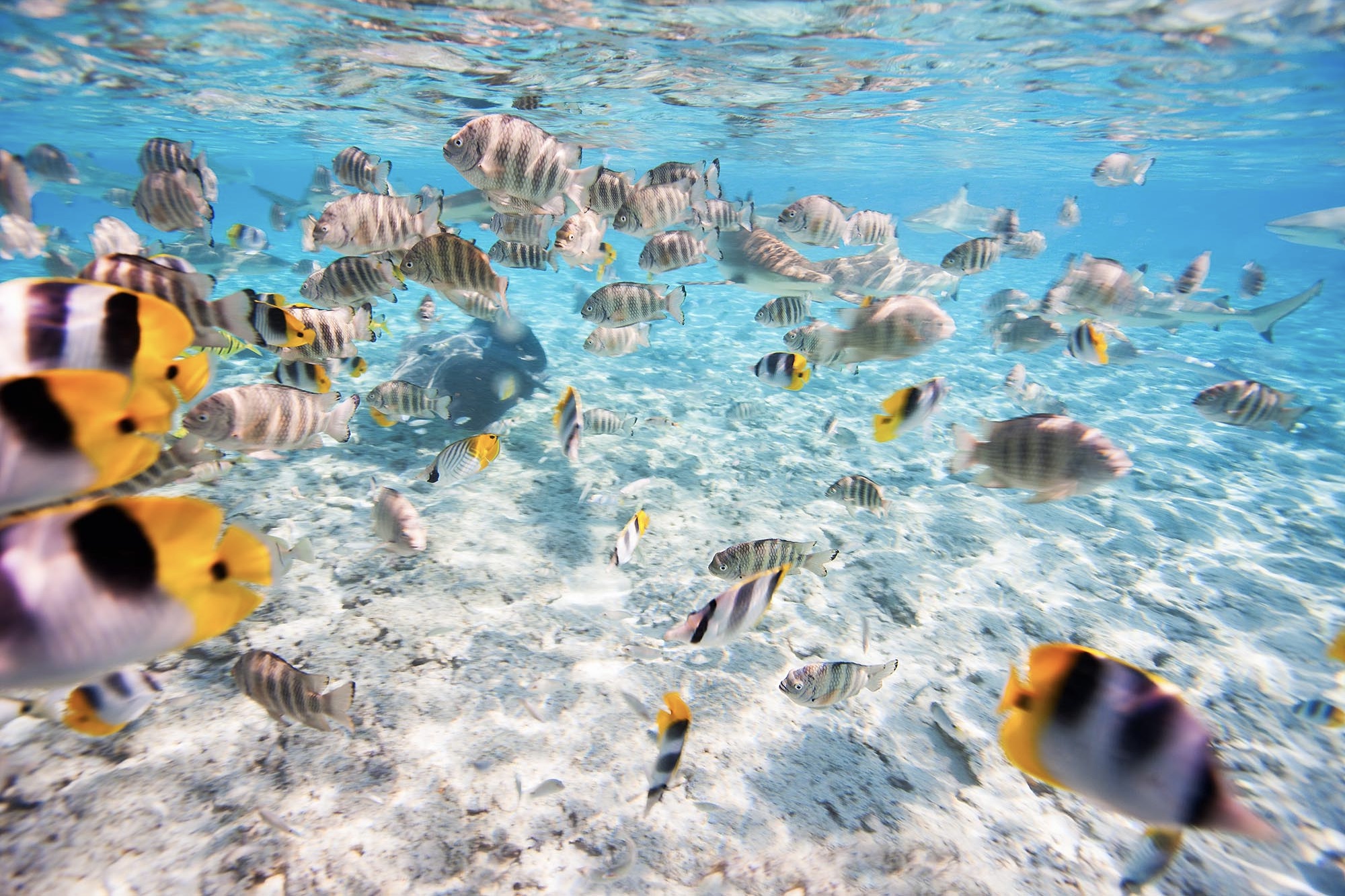 Bora Bora Yacht Charter - TWW Yachts